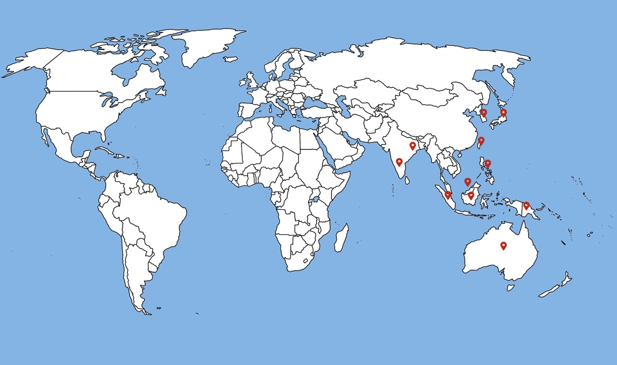 Company History – NVM JSC